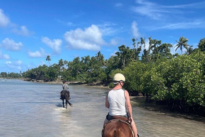 Horse Riding in Port Vila with Yumi Tours - Introducing the Horse Riding Experience in Port Vila