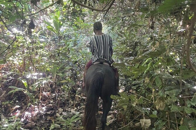 Horse Riding in Port Vila with Yumi Tours - FAQs