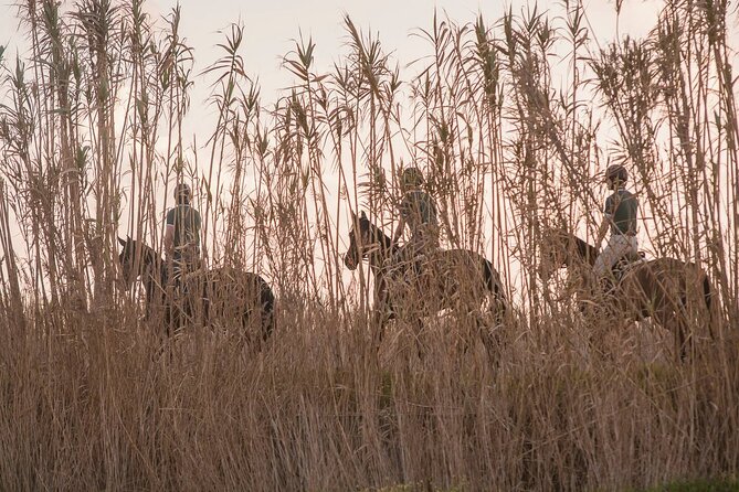Horse Riding in the Countryside - Experience Highlights