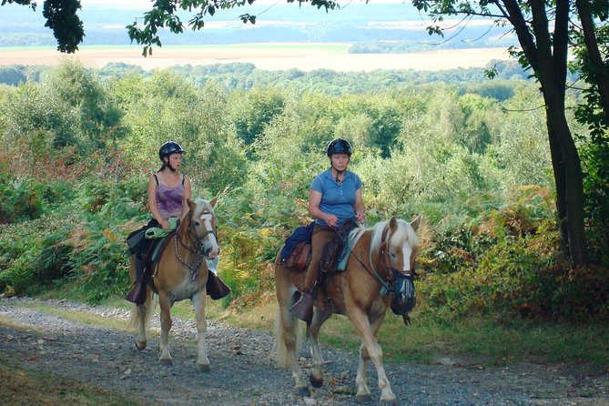 Horse riding in the French countryside - Key Points