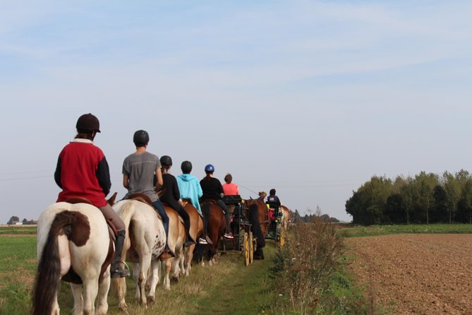 Horse riding in the French countryside - What You Can Expect on This Ride
