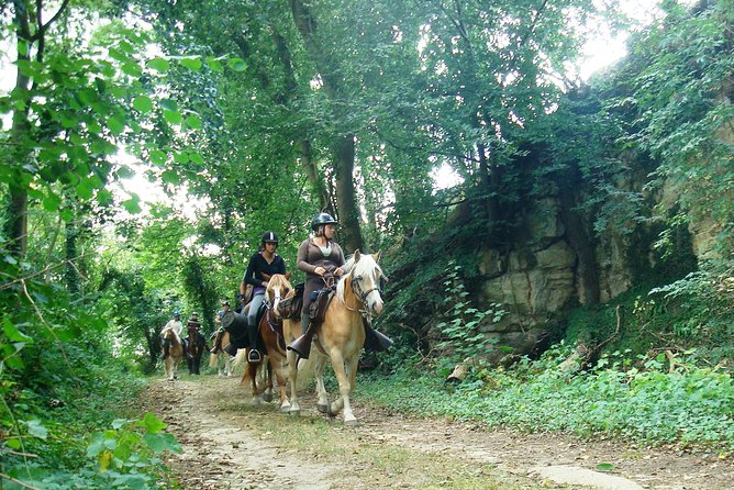 Horse riding in the French countryside - The Value of This Experience
