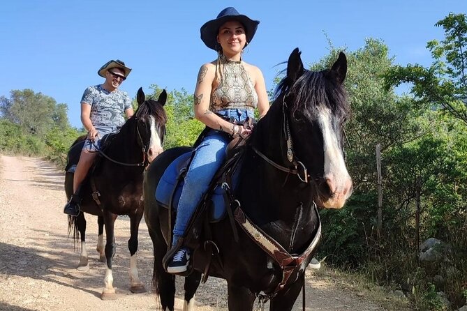 Horse riding in the Gargano National Park - Setting the Scene: Exploring Gargano’s Hidden Corners