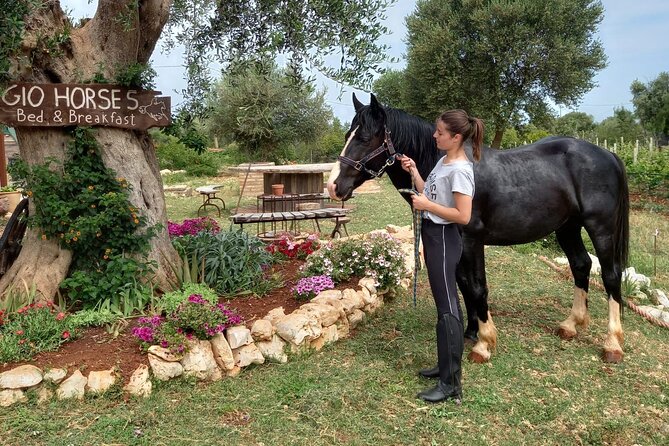 Horse riding in the Gargano National Park - What Travelers Say: Authentic Experiences Confirmed