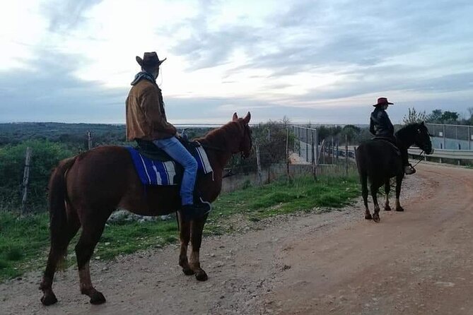 Horse riding in the Gargano National Park - The Sum Up: Who Will Love This Tour?
