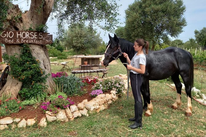Horse riding in the Gargano National Park - FAQs