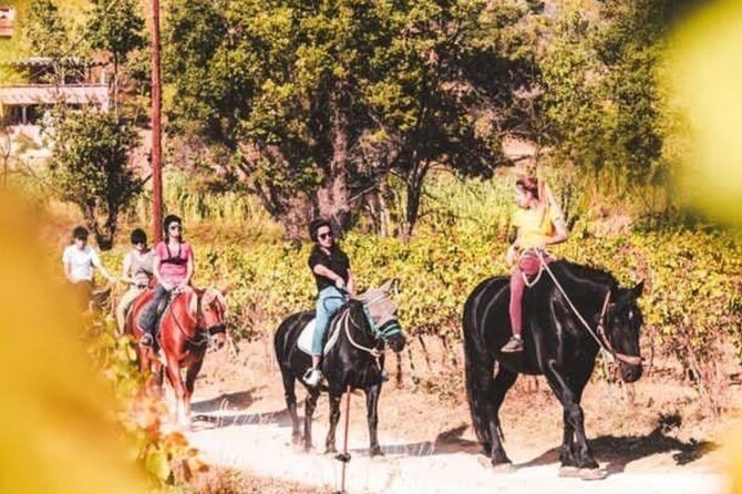 Horse riding in the vineyards of Grimaud + wine tasting - Key Points