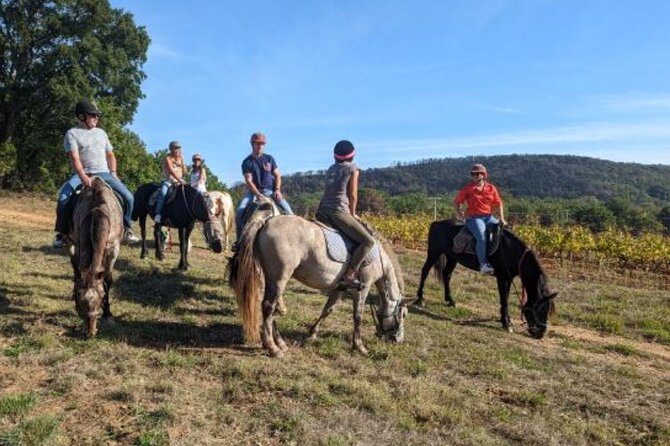 Horse riding in the vineyards of Grimaud + wine tasting - Deep Dive: What Makes the Experience Worthwhile?