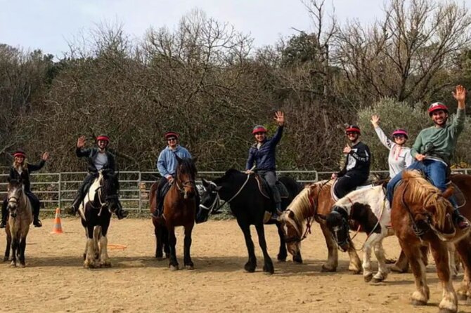 Horse riding in the vineyards of Grimaud + wine tasting - FAQ