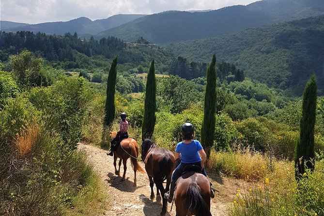 Horse Riding in Tuscany for Experienced Riders: Full-day Trail Ride - Introducing the Horse Riding in Tuscany for Experienced Riders Tour