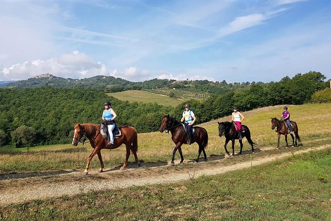 Horse Riding in Tuscany for Experienced Riders: Full-day Trail Ride - The Sum Up