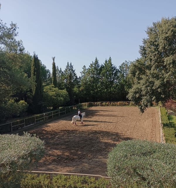 Horse Riding Lesson & Lunch & Regional Wine Tasting - Key Points
