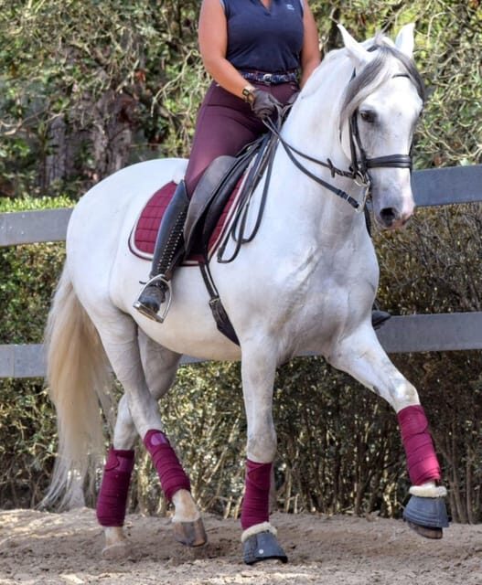 Horse Riding Lesson & Lunch & Regional Wine Tasting - Why This Tour Works for Different Types of Travelers