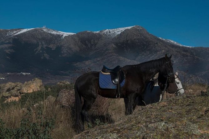 Horse Riding Madrid Natural Park (long Trip) - Requirements and Restrictions