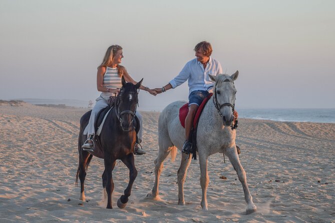 Horse Riding on Melides Beach - Customer Reviews and Experiences