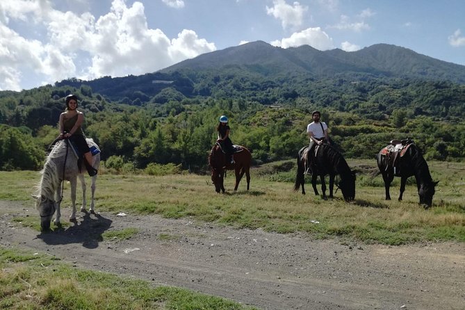 Horse Riding on Mount Vesuvius - Hands-On Horse Grooming Experience