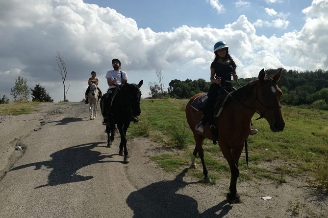 Horse Riding on Mount Vesuvius - Meeting Point and Transportation Details