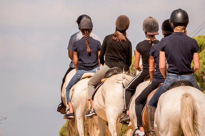 Horse Riding on the Beach - The Sum Up