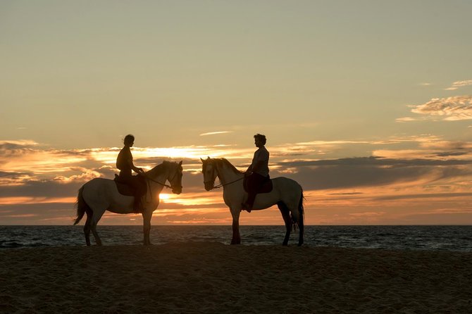Horse Riding on the Beach - FAQ