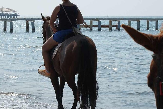 Horse Riding on the Beach in Side - FAQs
