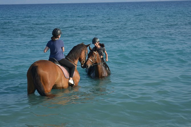 Horse riding on the Beach, Rhodes - Key Points