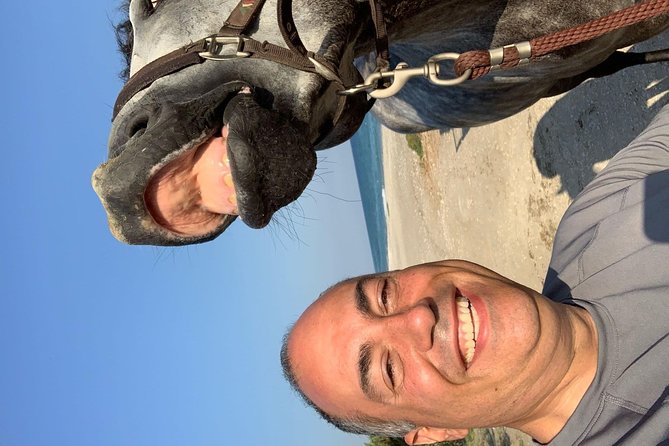 Horse riding on the Beach, Rhodes - The Value of This Experience