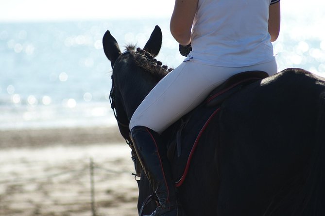 Horse riding on the Beach, Rhodes - Final Thoughts on the Tour