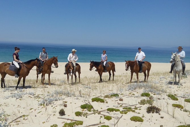 Horse Riding on the Beach Tour - Final Words: Who Is This Tour Best For?