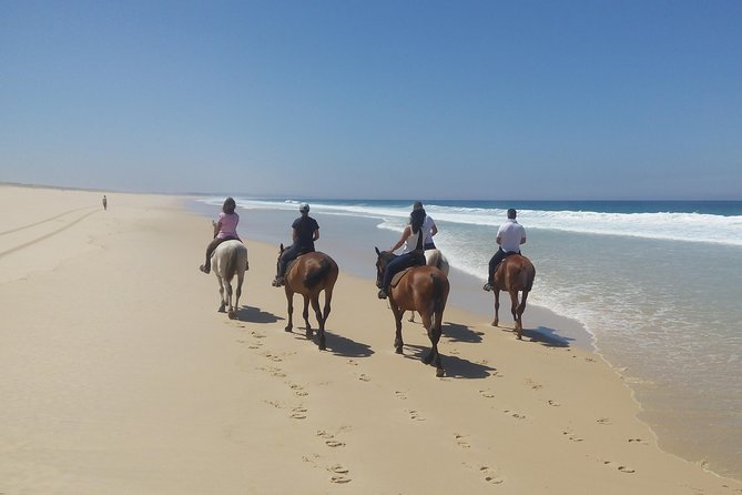 Horse Riding on the Beach Tour - Frequently Asked Questions
