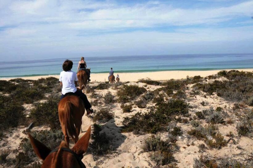 Horse riding on the beach, with private transfer from Lisbon - Introduction