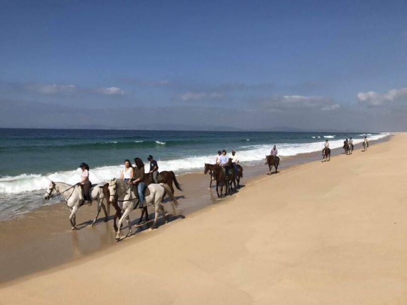 Horse riding on the beach, with private transfer from Lisbon - Key Points