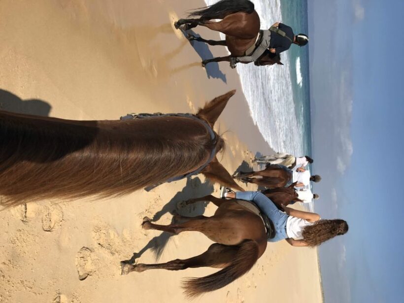 Horse riding on the beach, with private transfer from Lisbon - Is the Value Right for You?