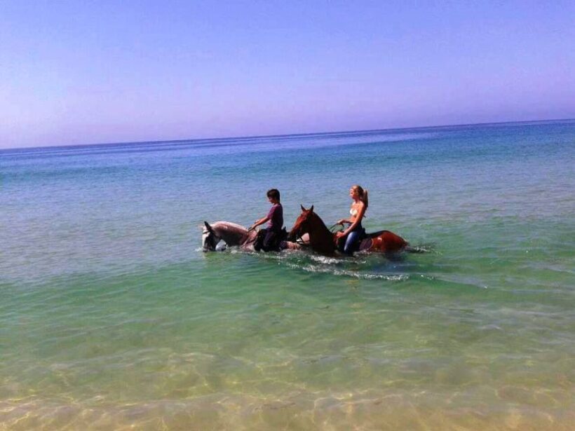 Horse riding on the beach, with private transfer from Lisbon - Practical Details to Keep in Mind