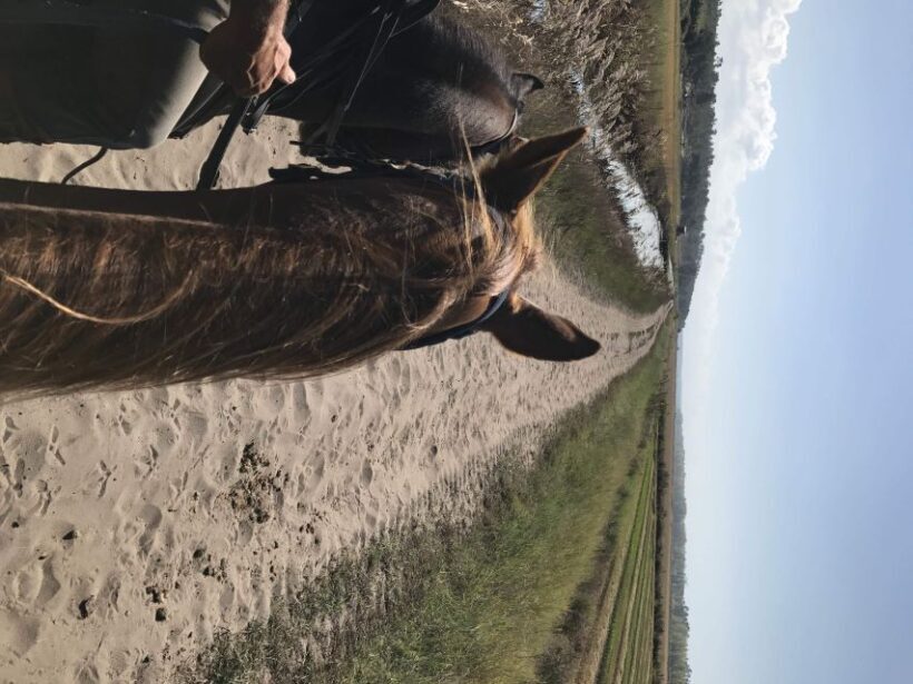 Horse riding on the beach, with private transfer from Lisbon - Final Thoughts