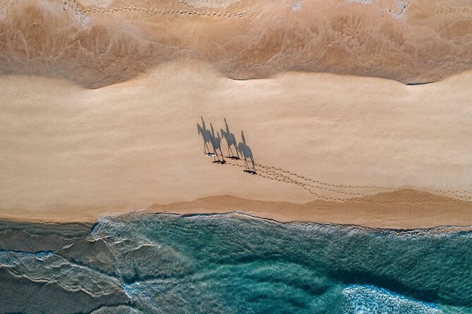 Horse Riding on the Beach With Private Transfer From Lisbon - Pricing and Group Size Details