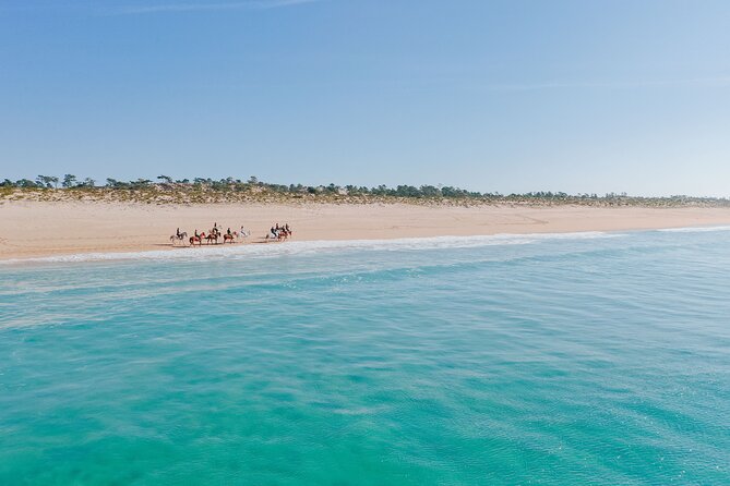 Horse Riding on the Beach With Private Transfer From Lisbon - Rebooking and Cancellation Policies