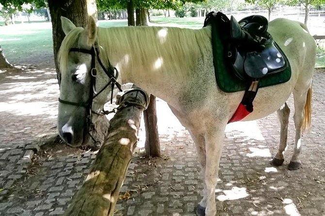 Horse Riding Small Group near Lucca - Detailed Itinerary Breakdown