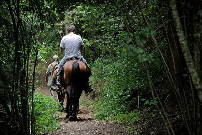 Horse Riding Small Group near Lucca - What Past Participants Say