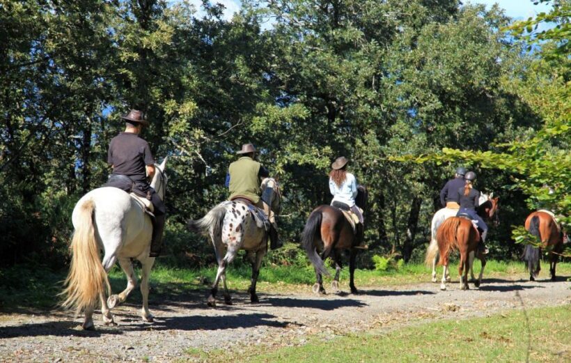 Horse Riding Through The valleys + food tasting - Key Points