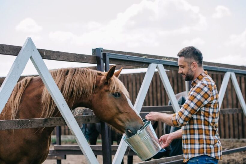 Horse Riding Through The Valleys + lunch - An Overview of the Experience