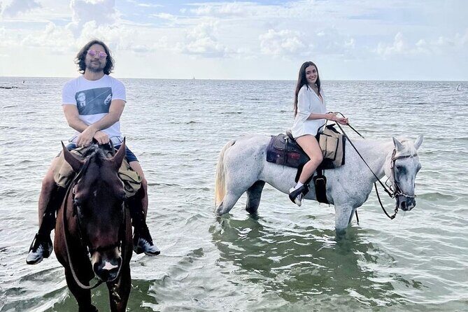 Horse Riding Tour at the Beach in Miami - An In-Depth Look at the Miami Beach Horseback Riding Experience