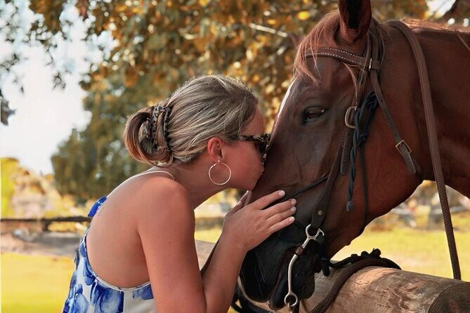 Horse Riding Tour at the Beach in Miami - FAQ