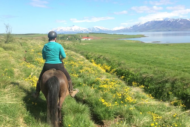 Horse Riding Tour in Akureyri - Key Points