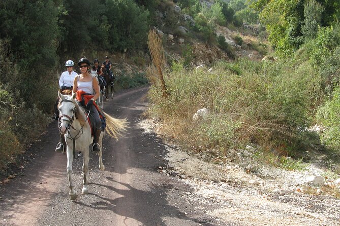Horse Riding Tour in Bodrum with Hotel Pick Up - Introduction