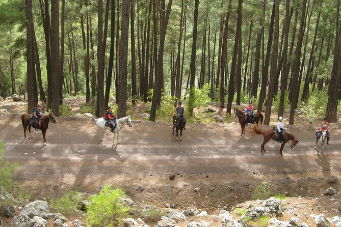 Horse Riding Tour in Bodrum with Hotel Pick Up - Value and Pricing: Is It Worth It?