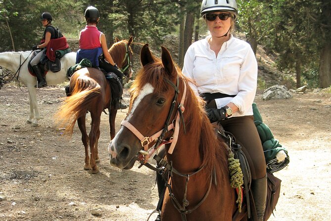 Horse Riding Tour in Bodrum with Hotel Pick Up - Practical Tips for Participants
