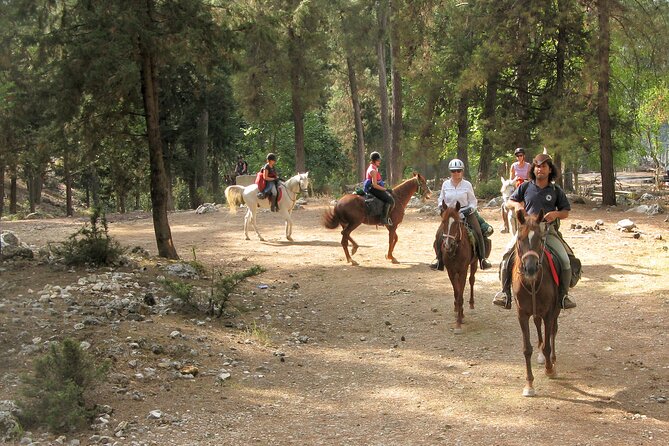 Horse Riding Tour in Bodrum with Hotel Pick Up - The Sum Up