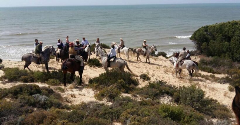 Horse-Riding Tour in Doñana National Park - Key Points