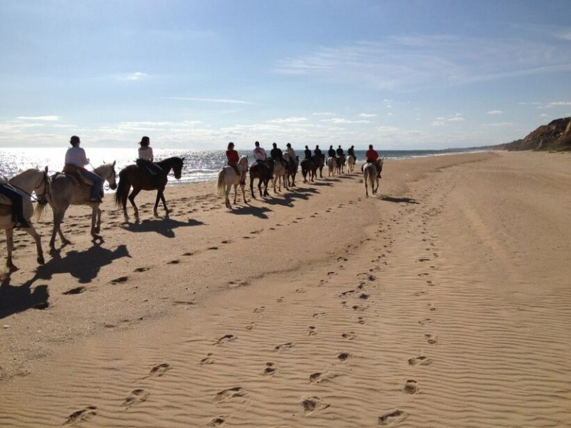 Horse-Riding Tour in Doñana National Park - An In-Depth Look at the Horse-Riding Experience