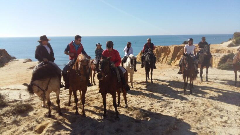 Horse-Riding Tour in Doñana National Park - The Sum Up